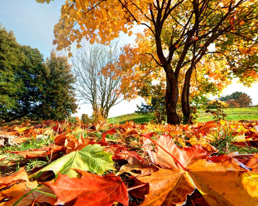 Moooz Green Solutions - Circular Building Knowledge Platform